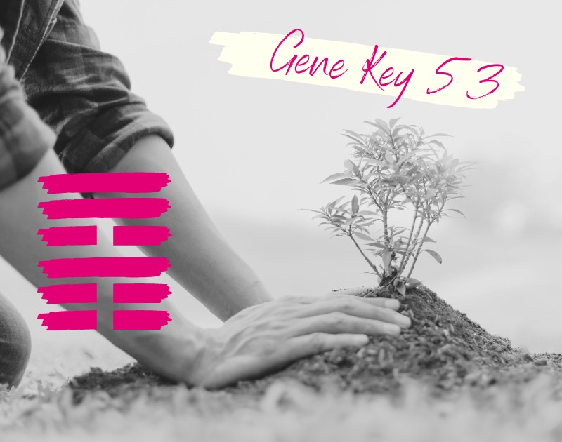 Gene Key 53 | Roswitha Fürst